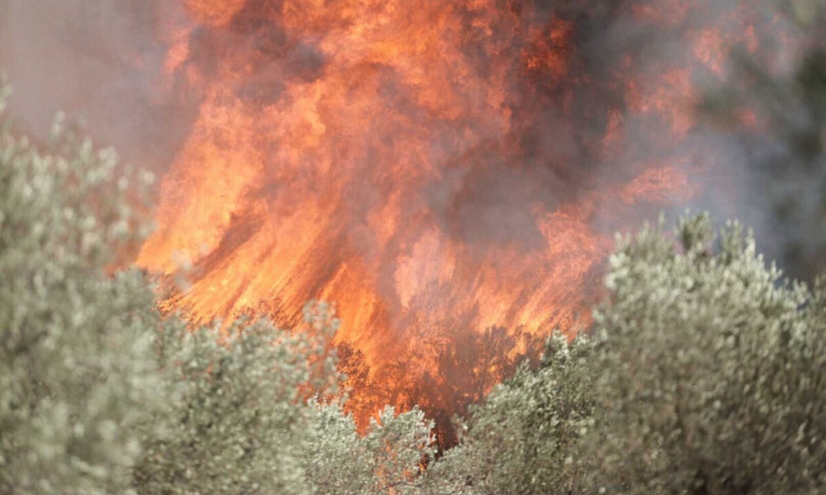 EKTAKTO: Μεγάλη φωτιά ΤΩΡΑ - Στη μάχη 7 εναέρια μέσα | i-diakopes.gr
